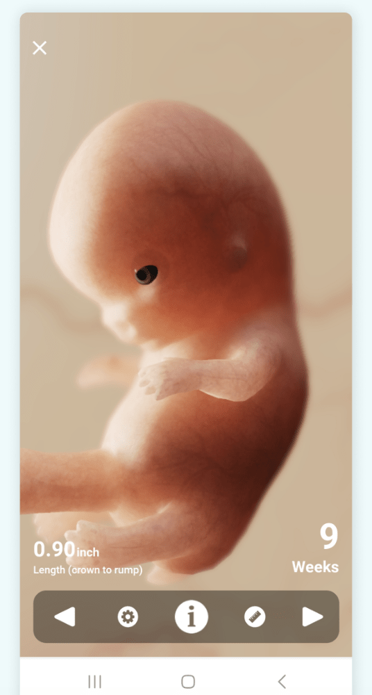 The 9 Best Pregnancy Apps of 2025