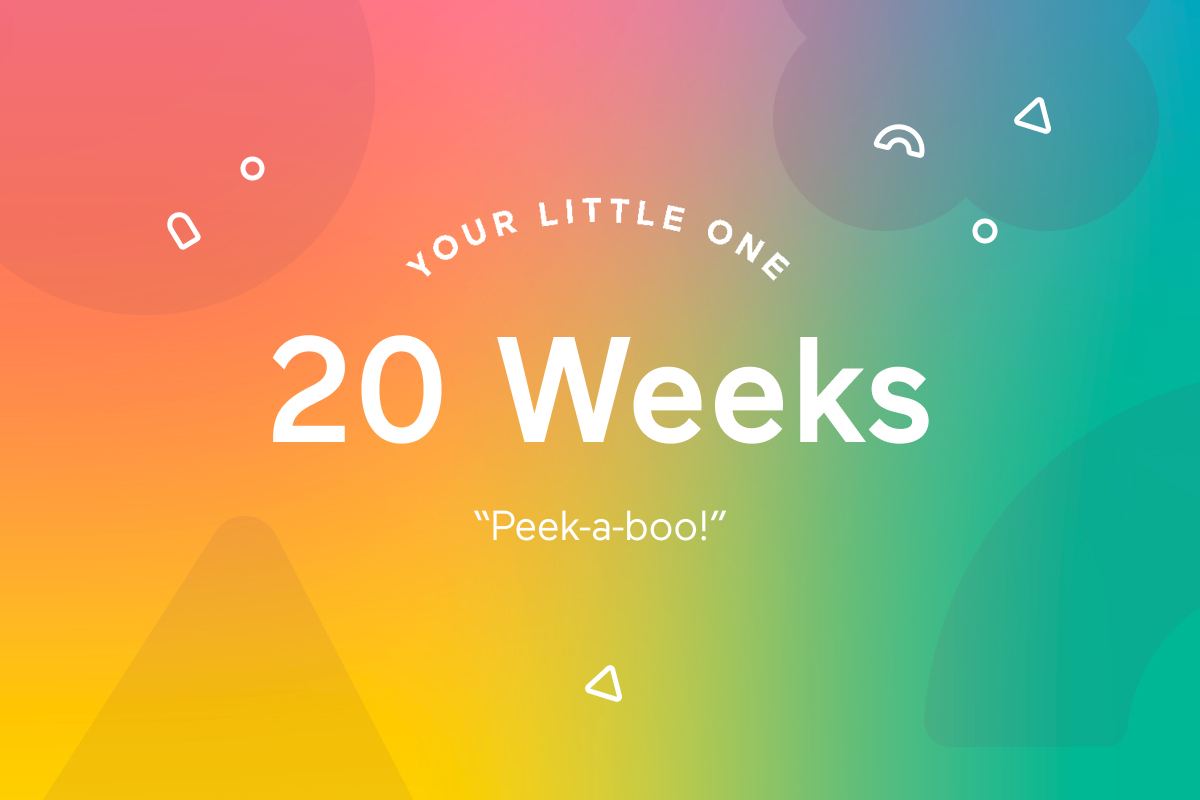 Your 20-Week-Old Baby