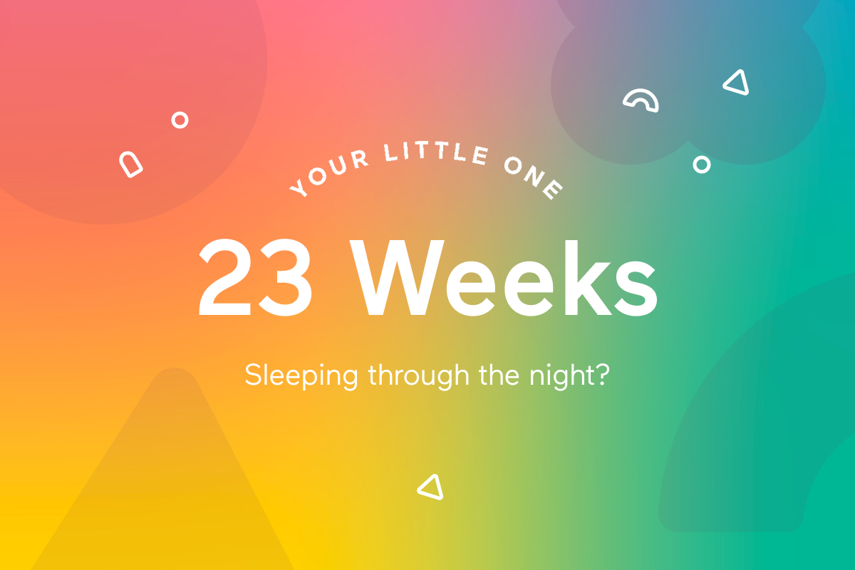 Your 23-Week-Old Baby