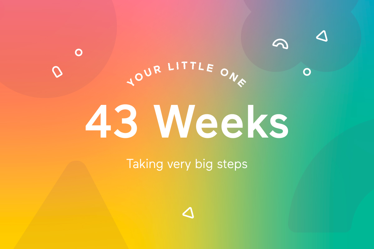 Your 43-Week-Old Baby - Parenting Week by Week
