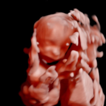 Maria Alonso’s Baby Registry at Babylist